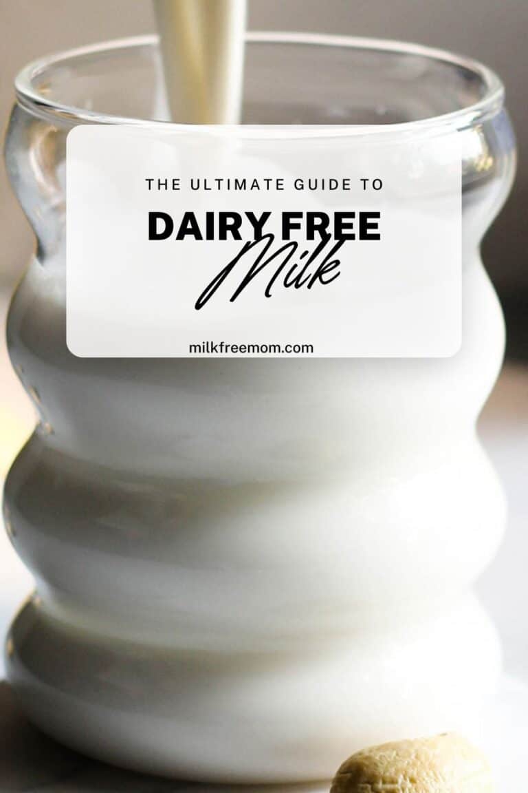 The Best Plant-Based Dairy-Free Milk Alternatives - Milk Free Mom