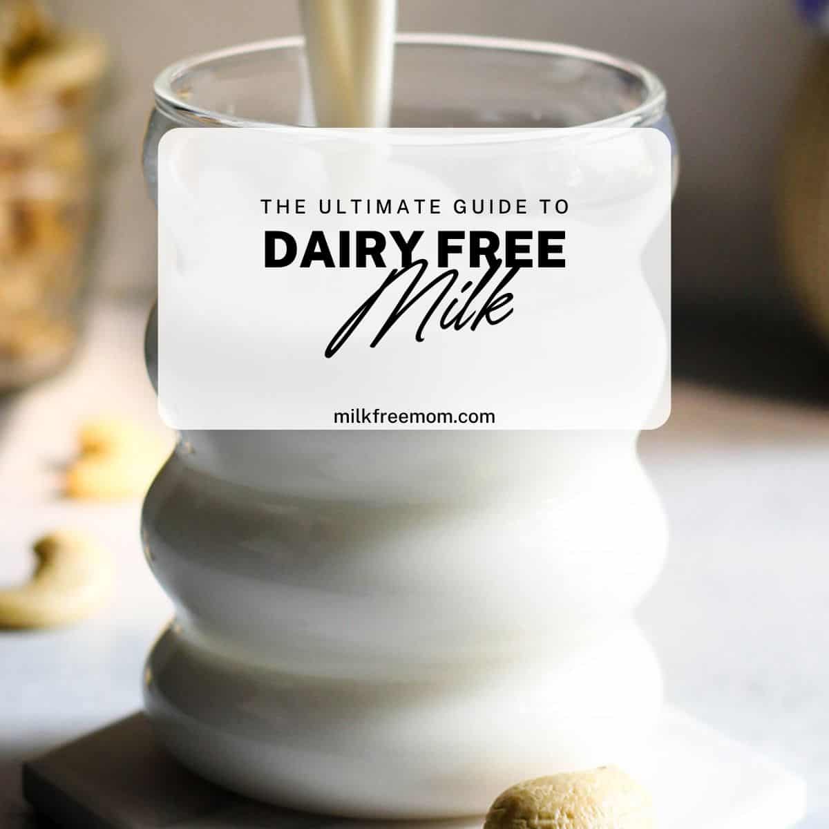 The Best Plant-Based Dairy-Free Milk Alternatives - Milk Free Mom