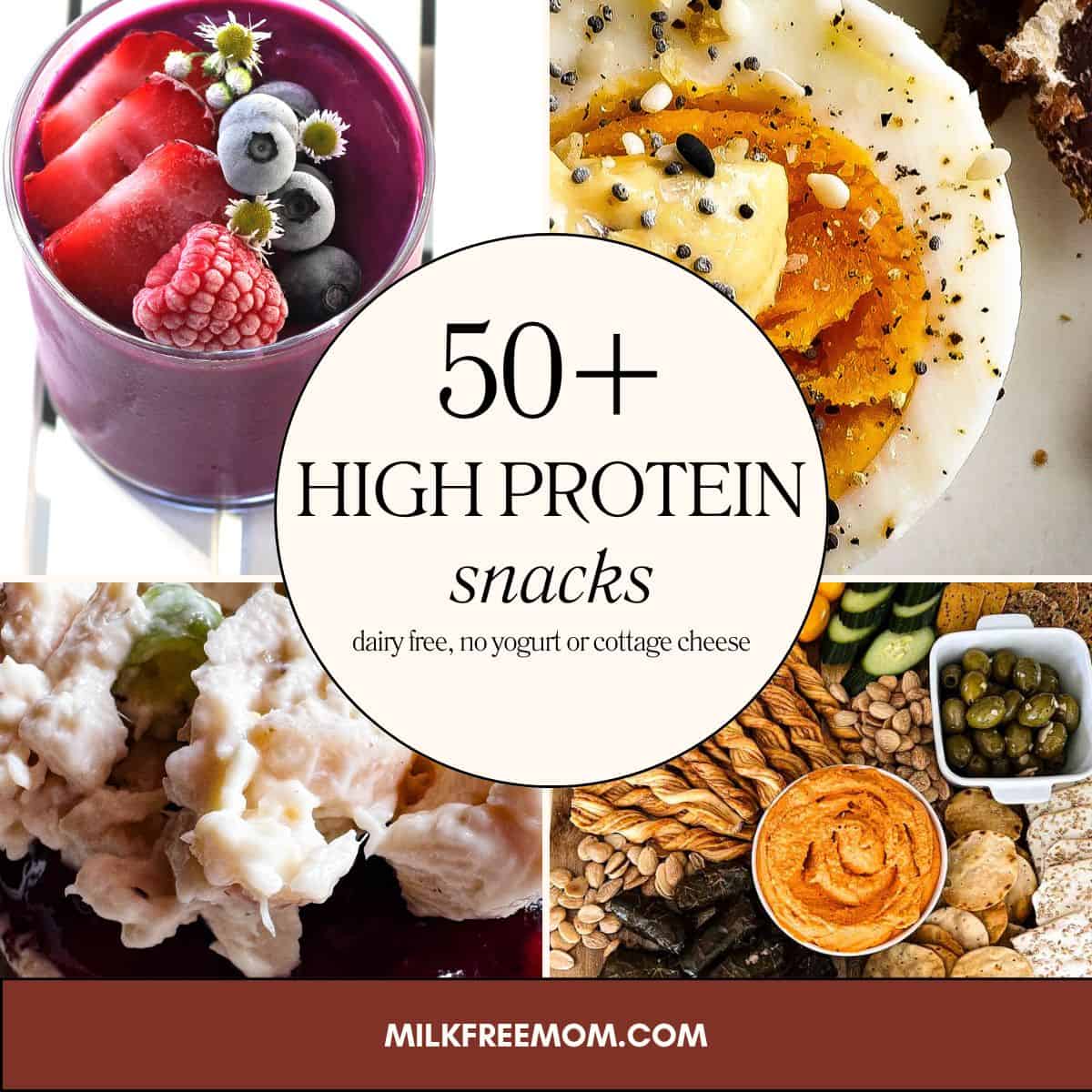 50+ Dairy-Free, Gluten-Free High Protein Snacks (No Yogurt or Cottage ...